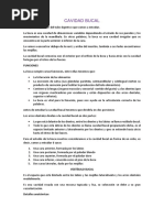 Anatomía y Función de la Región Labial | PDF | Labio | Anatomía humana