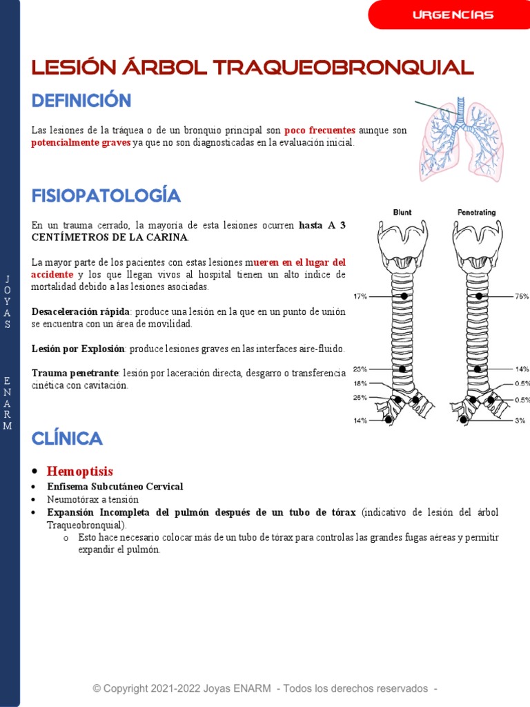 Lesión Del Árbol Traqueobronquial | PDF | Traumatologia | Enfermedades ...