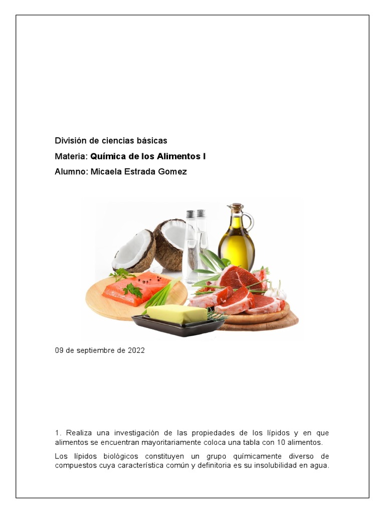 Lípidos en Alimentos | PDF | Lípido | gordo