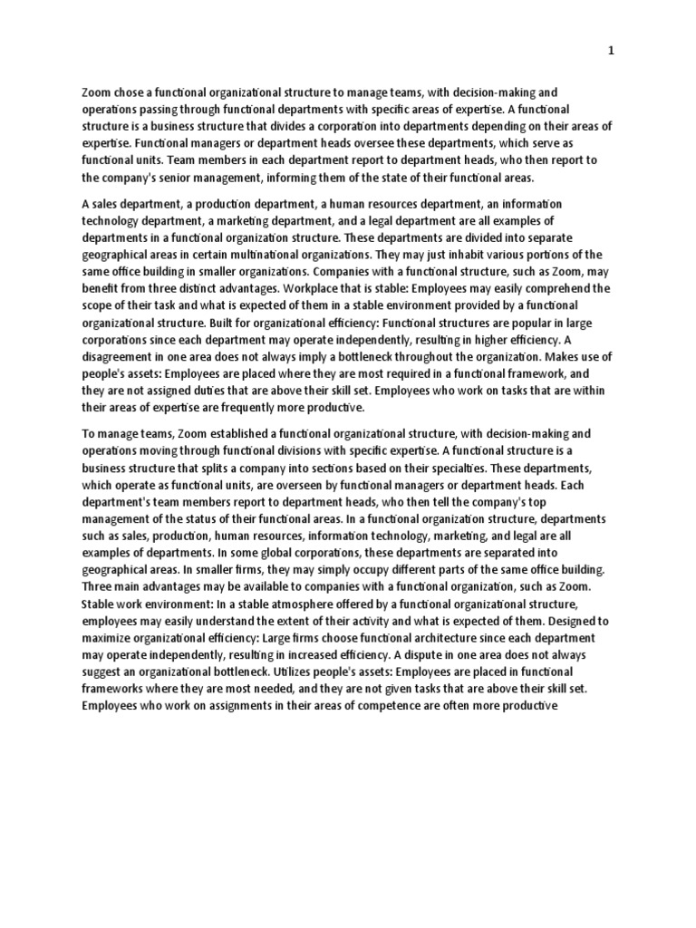 ZOOM | PDF | Organizational Structure | Employment
