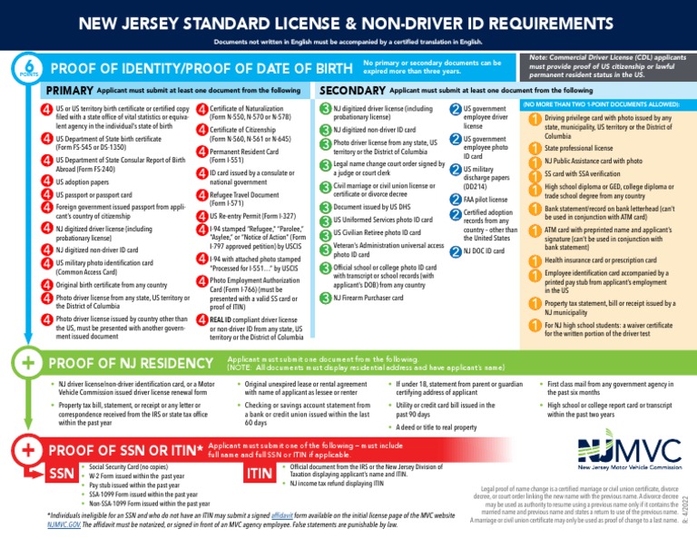 Standard License Sheet Engl | PDF | Identity Document | Driver's License