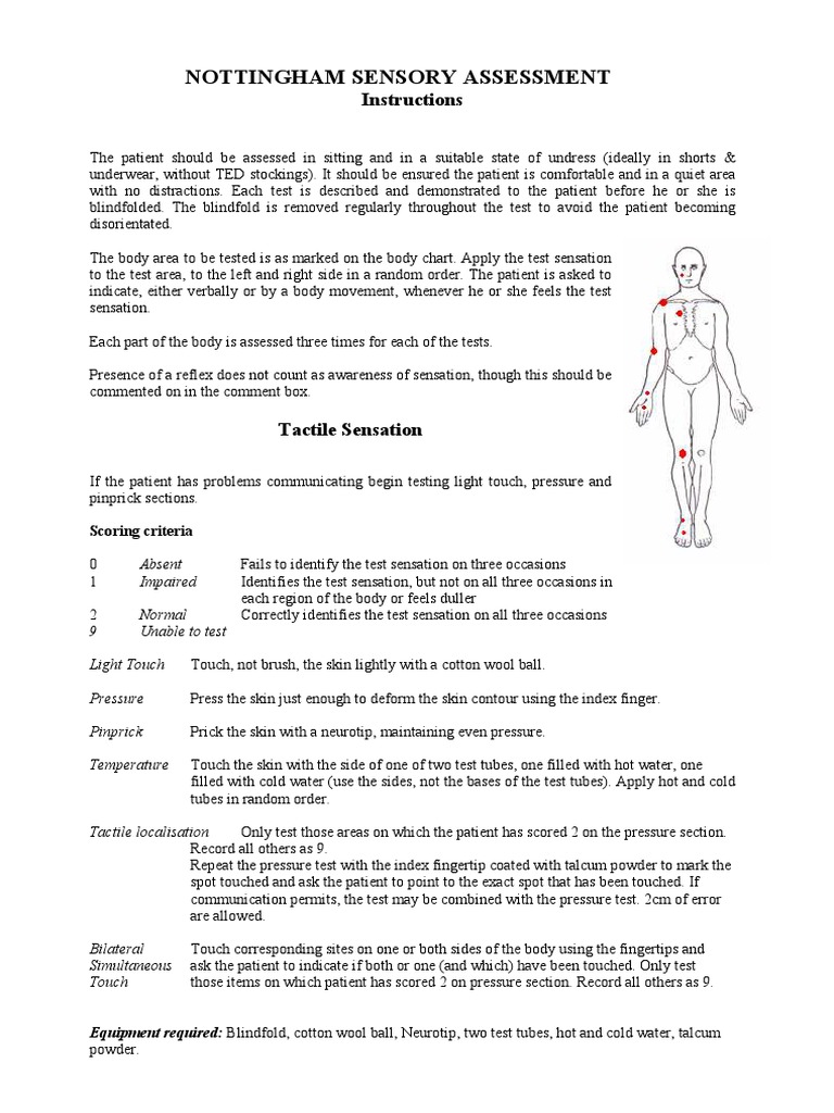 Nottingham Sensory Assessment Guide | PDF | Somatosensory System | Senses