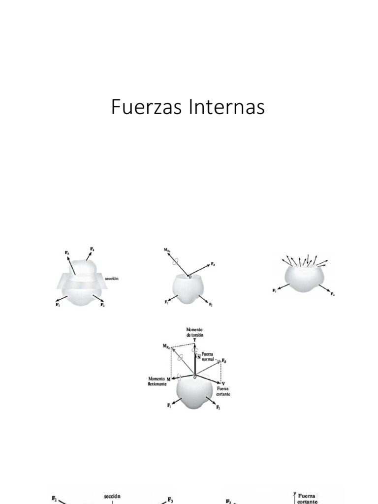Fuerzas Internas | PDF | Ingeniería mecánica | Física Aplicada e ...