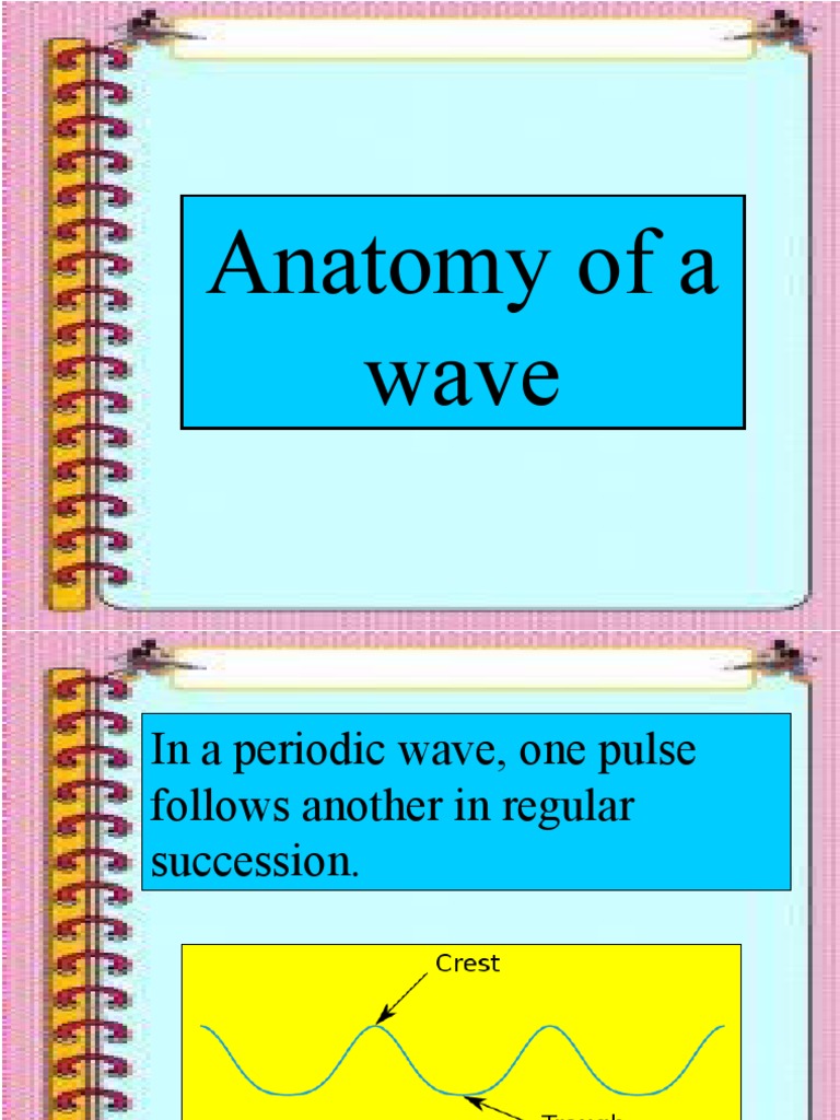 Anatomy of A Wave | PDF | Science & Mathematics