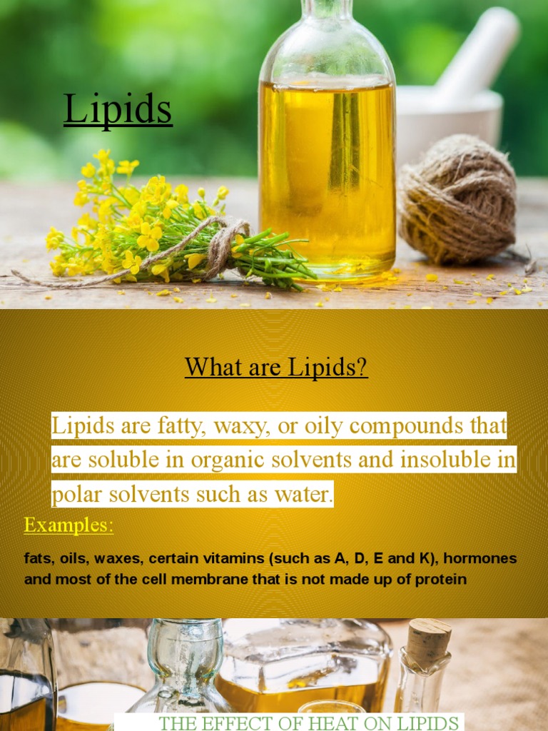 Lipids Foods, Nutrition and Health Presentation | PDF