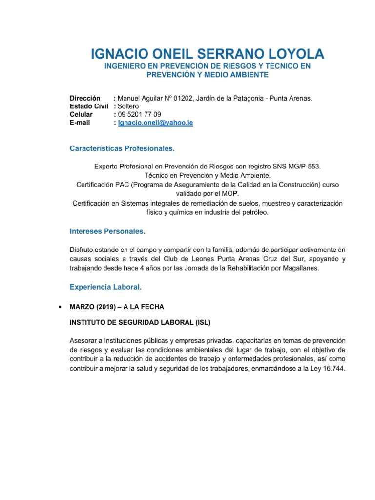 CV Ignacio Serrano | Descargar gratis PDF | Minería | Seguridad y salud ocupacional