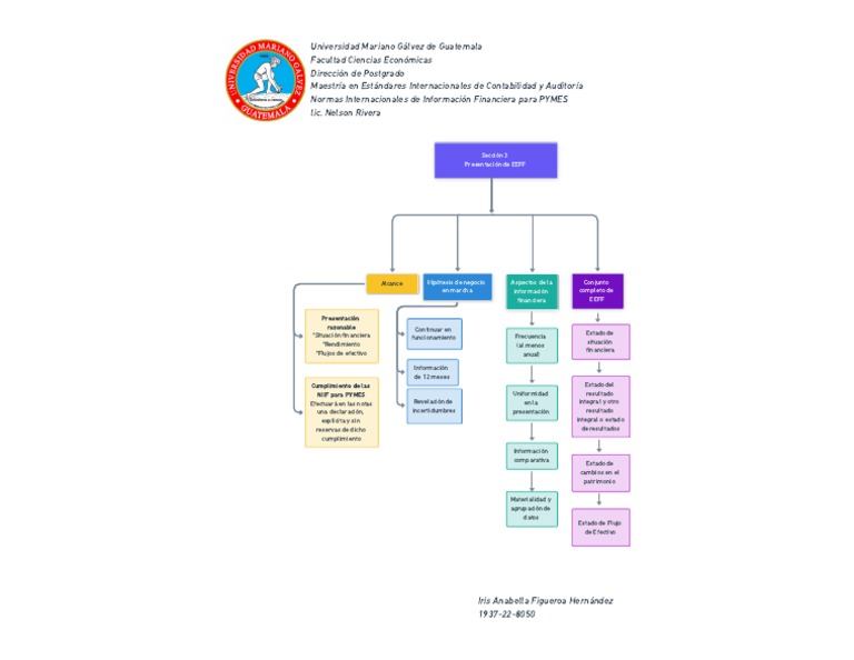 Sección 3- Presentación de EEFF | PDF | normas internacionales de ...