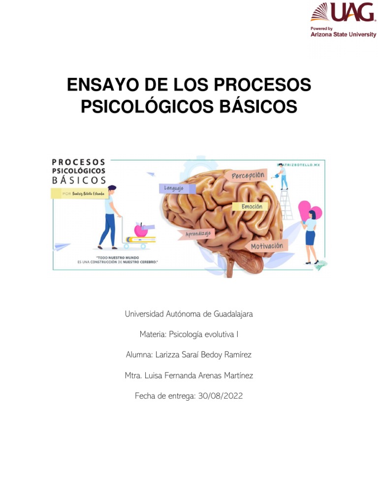 Ensayo de Los Procesos Psicologicos Basicos | PDF | Memoria | Aprendizaje