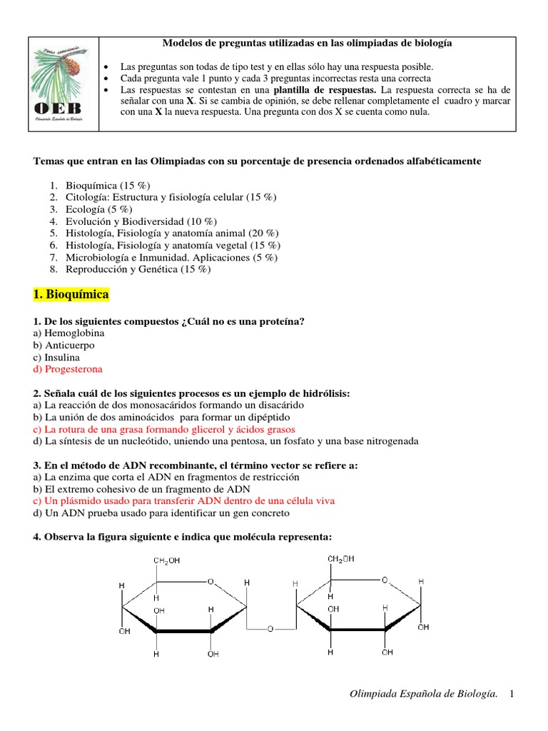 Modelos Preguntas Teoricas Respuestas | PDF | Mitosis | Adn