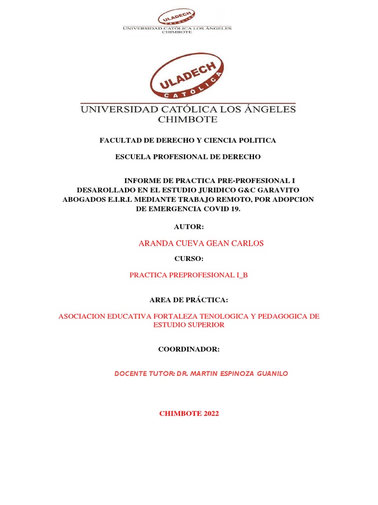 Modelo Informe Final ARANDA | PDF | Justicia | Crimen y violencia