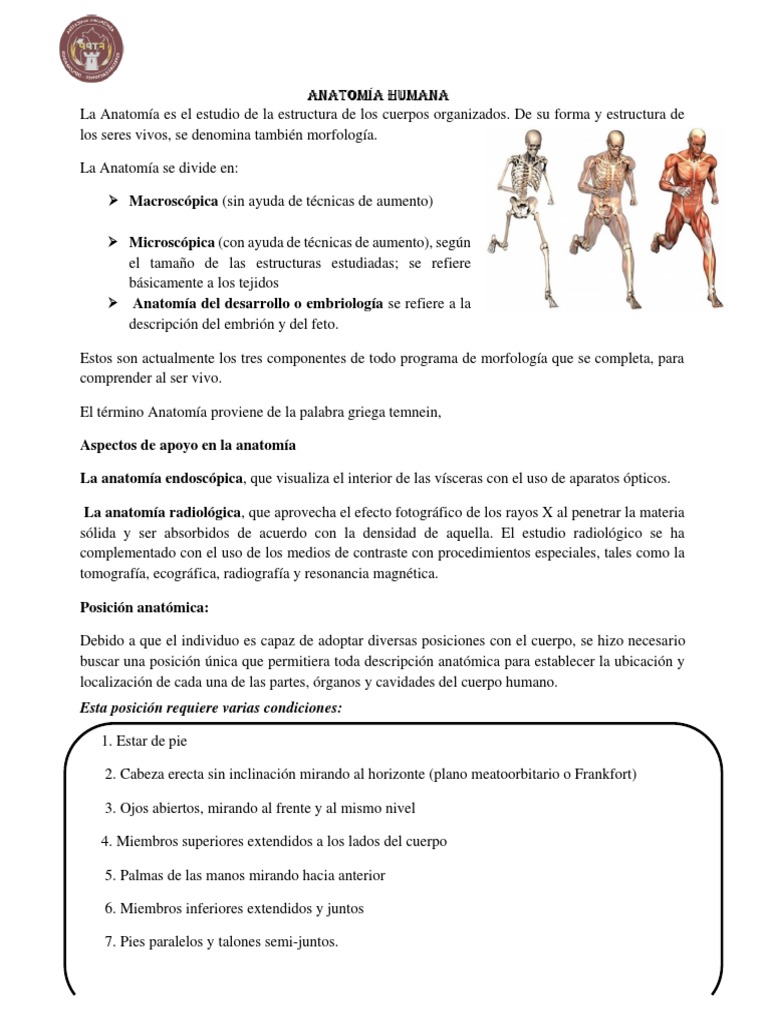 Anatomía Humana: Estructura y Funciones | PDF