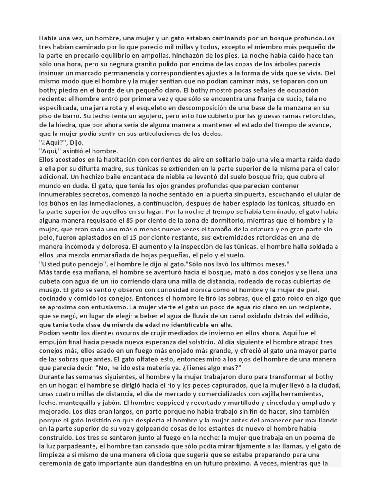 Había Una Vez | PDF | Gatos