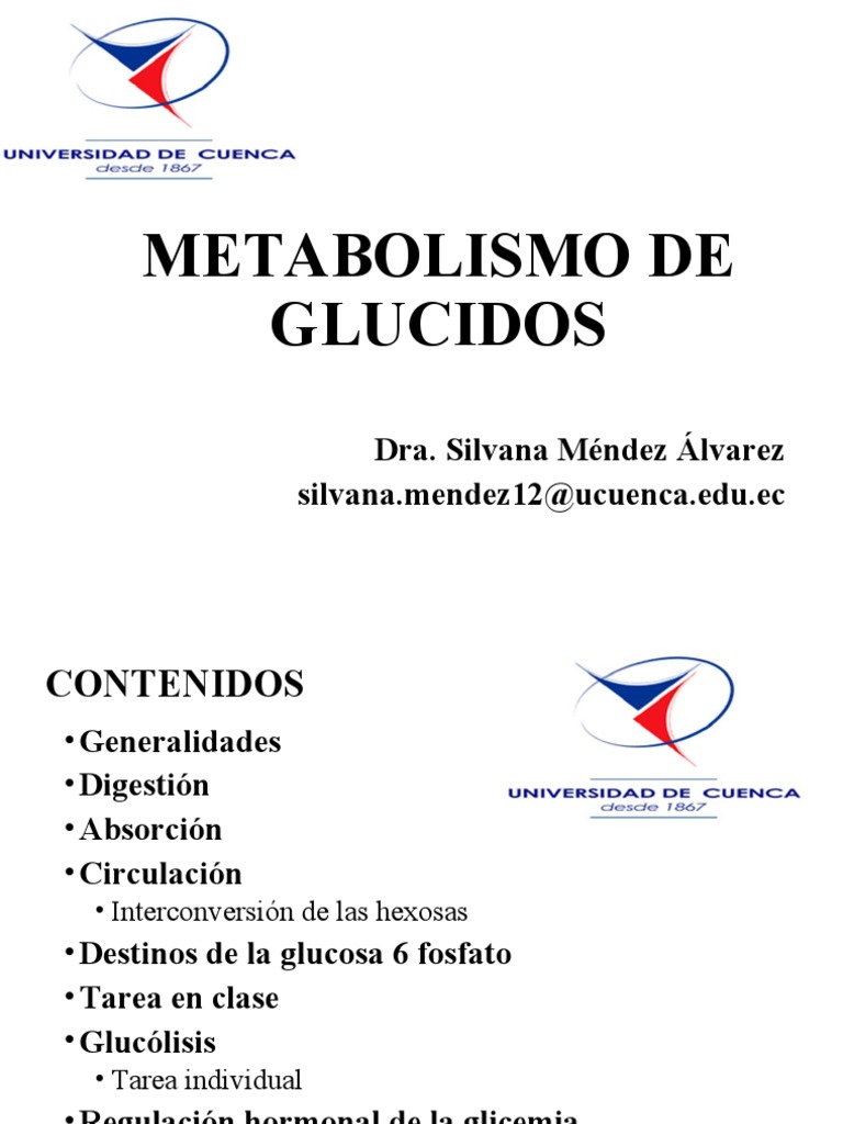 Metabol. Glucidos 1 | PDF | Digestión | Glucólisis
