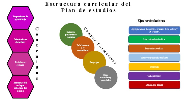 Esquema | PDF | Plan de estudios | Ciencia cognitiva