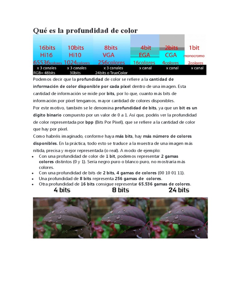 Qué Es La Profundidad de Color | PDF