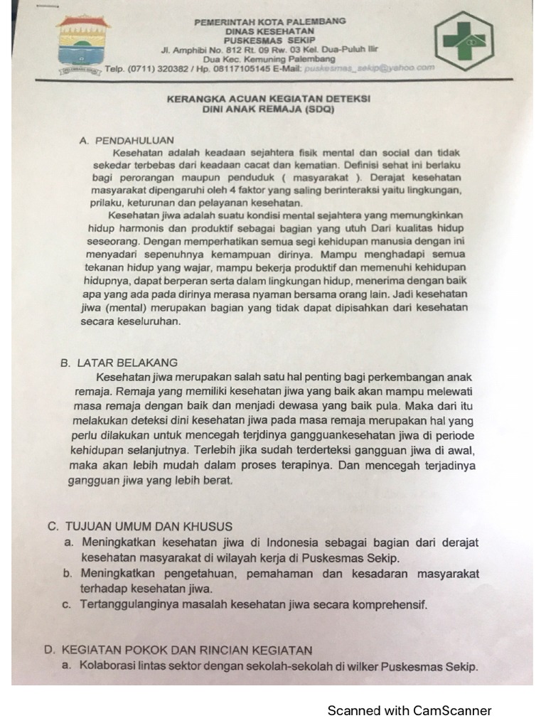 Kak Deteksi Dini Remaja (SDQ) | PDF