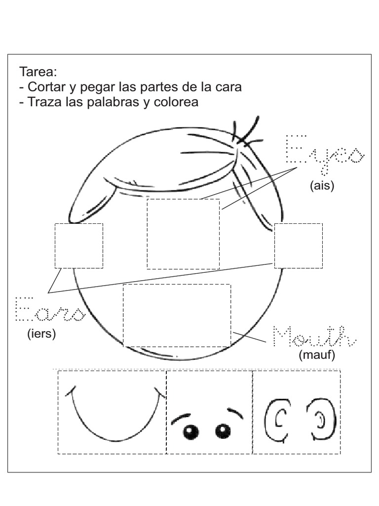 The Face | PDF