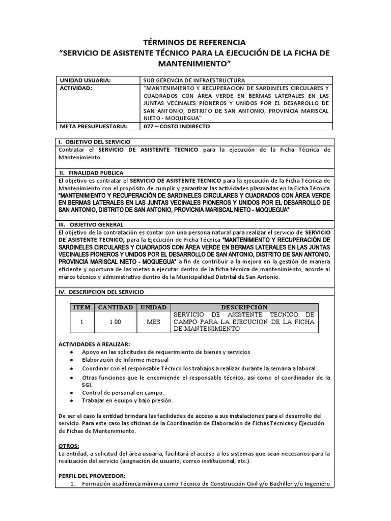 TDR Asistente Tecnico 2 | PDF