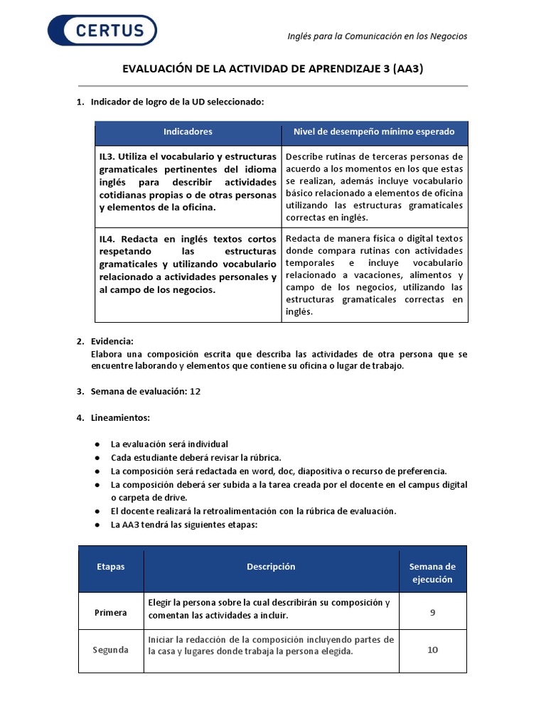 Lineamientos Evaluación AA3 | PDF | Idioma en Inglés | Rúbrica (Académica)