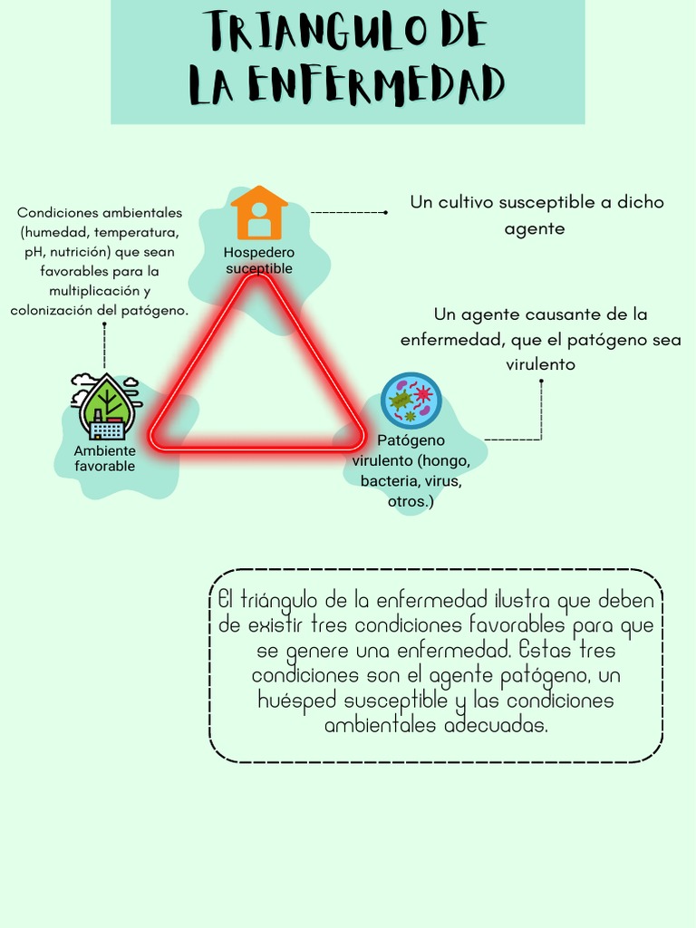 Triangulo de La Enfermedad | PDF
