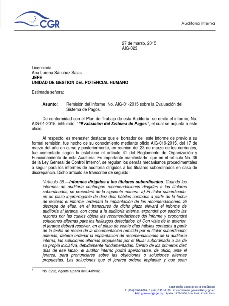 Informe I Aig 01 2015 | PDF | Auditoría | Archivo de computadora