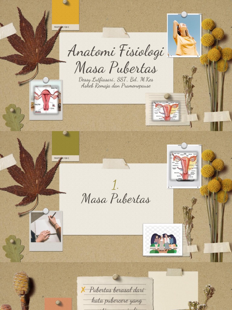 Anatomi Fisilogi Masa Pubertas | PDF