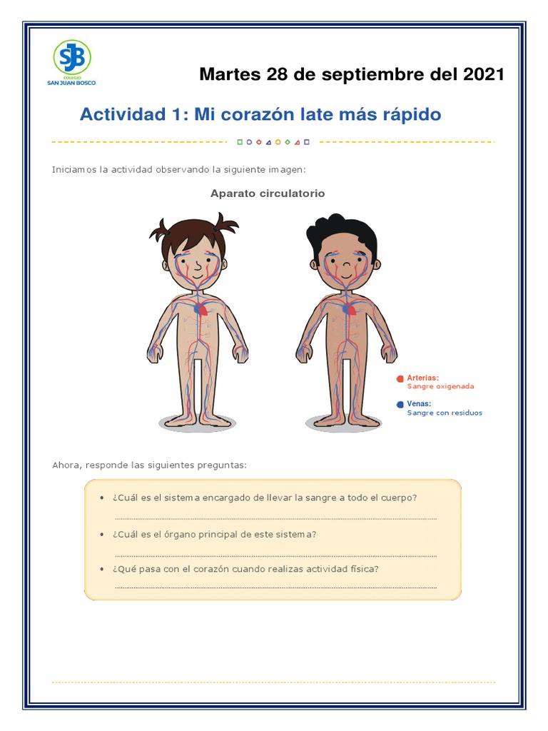 Mi Corazon Late Mas Rapido | PDF | Corazón | Sistema circulatorio