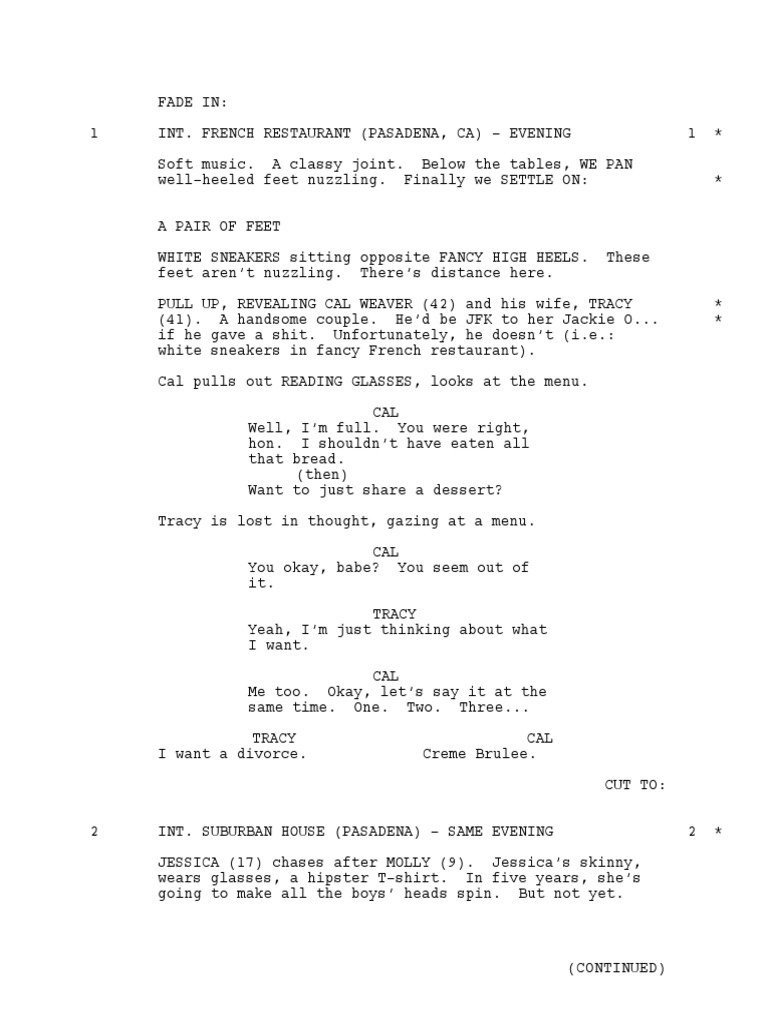 Crazy Stupid Love | PDF