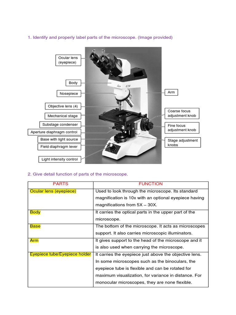 Micp Lab Act # 01 Micros | PDF | Aperture | Atomic
