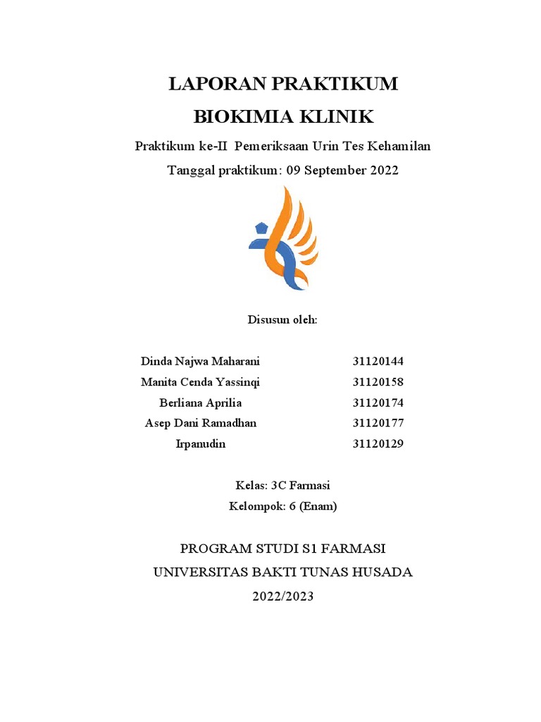 Pemeriksaan HCG dalam Urin Kehamilan | PDF