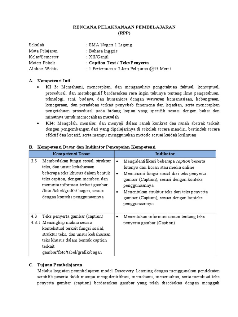 RPP 3.3 Caption Text | PDF