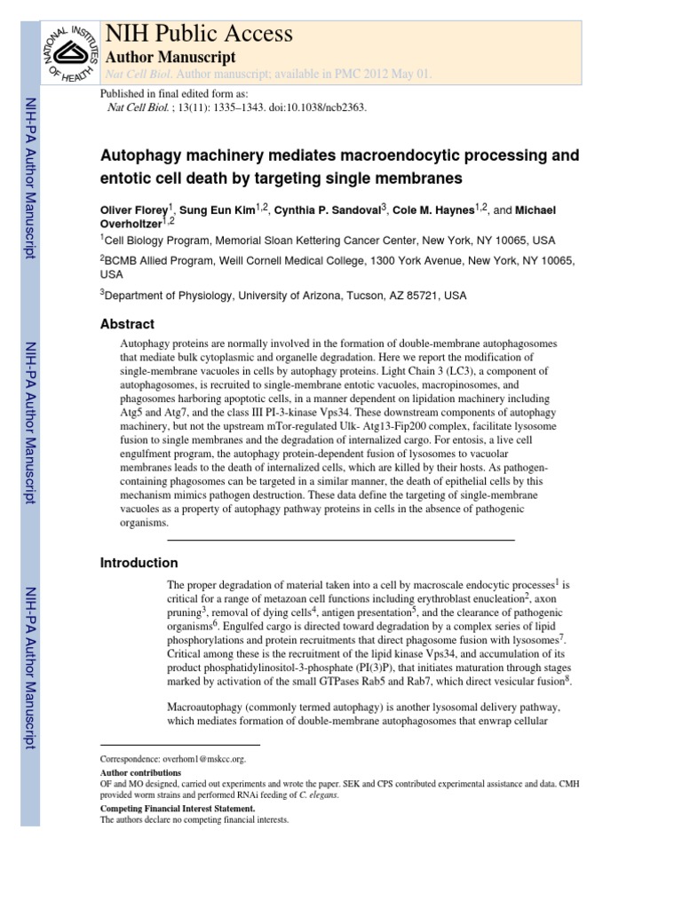 2012 Autophagy Machinery Mediates Macroendocytic Processing and | PDF ...