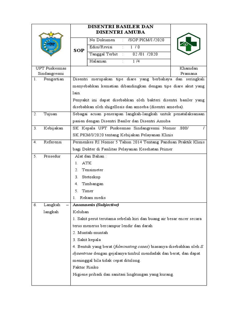 228 Sop Disentri Basiler, Amuba | PDF