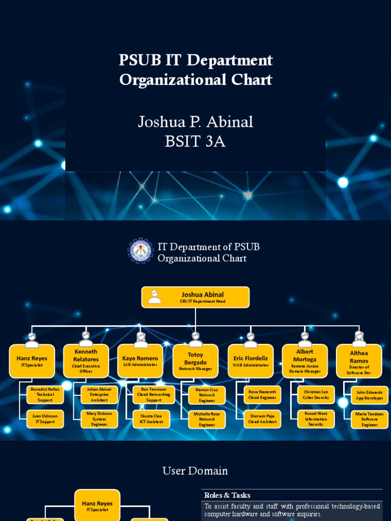 PSUB IT Department Organizational Chart: Documenting Key Domains, Roles, Risks, and Mitigation ...
