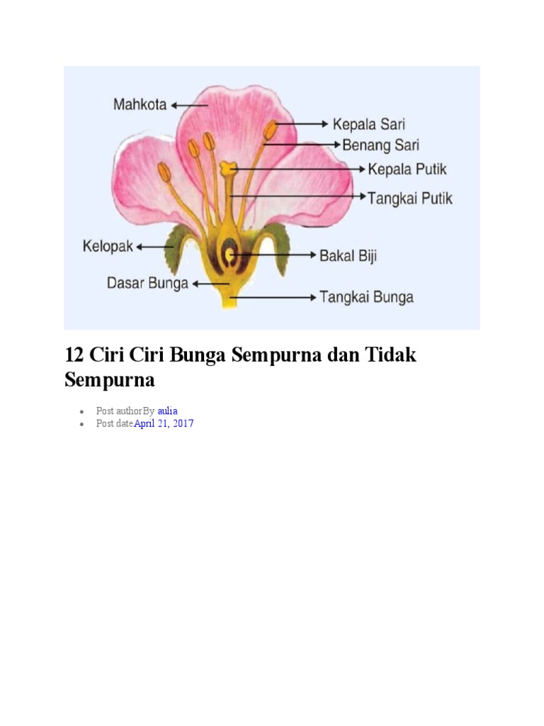 Ciri Bunga Sempurna dan Tidak Sempurna | PDF | Pengembangan Diri