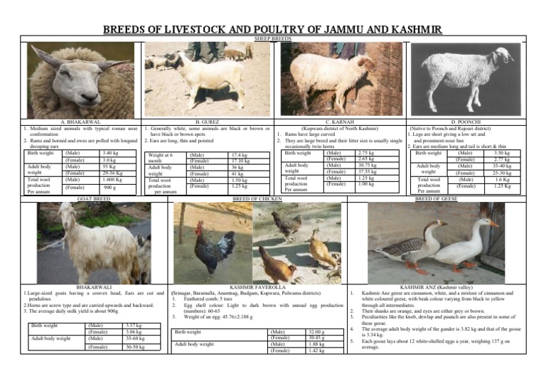 Breeds of Livestock and Poultry of Jammu and Kashmir | PDF