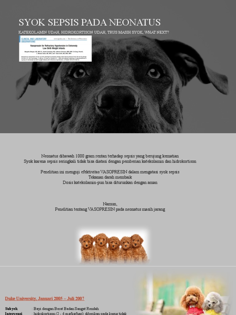 Syok Sepsis Pada Neonatus | PDF