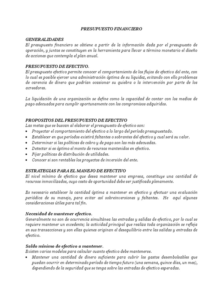 Presupuesto Financiero y Efectivo 2023 | PDF | Presupuesto | Economias