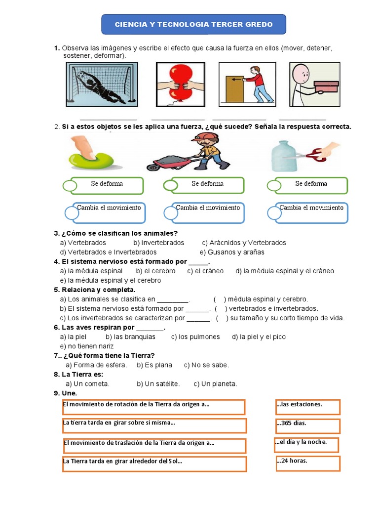 Ciencia y Tecnologia 3° Primaria | PDF