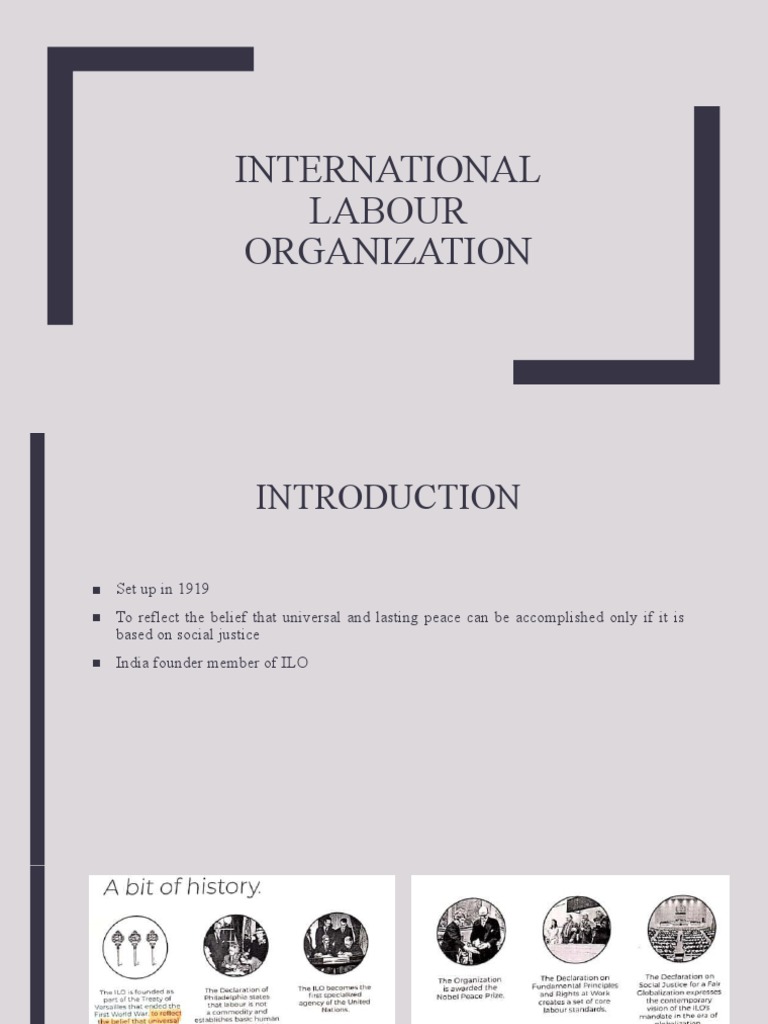 International Labour Organization | PDF | International Labour ...