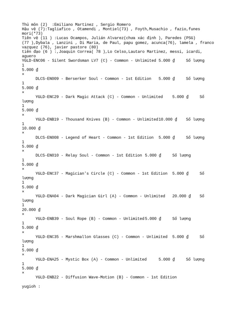 argentina team dls 21 ¯ - (ツ) - ¯ | PDF
