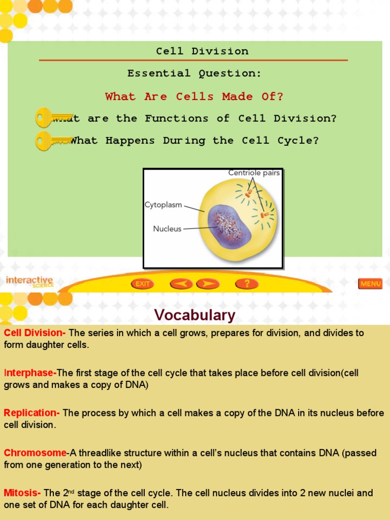 Understanding Cell Division Process | PDF