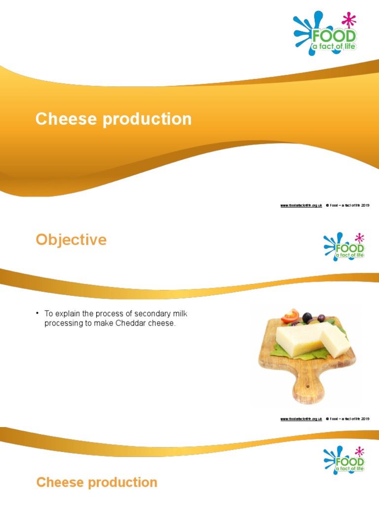 Cheese Production PPT 1114fcd | PDF | Cheddar Cheese | Cheese