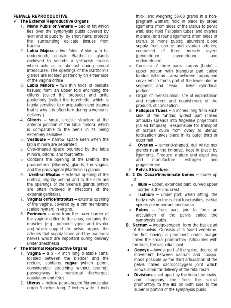 Reviewer - Camca | PDF