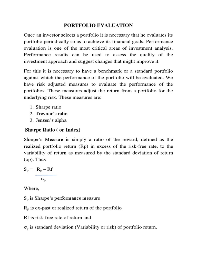 Portfolio Evaluation | PDF