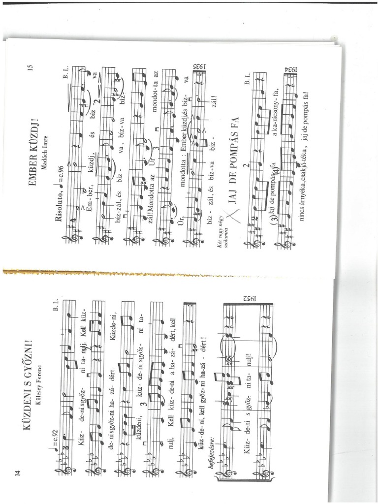 SVPG@B 2275518013017360 | PDF