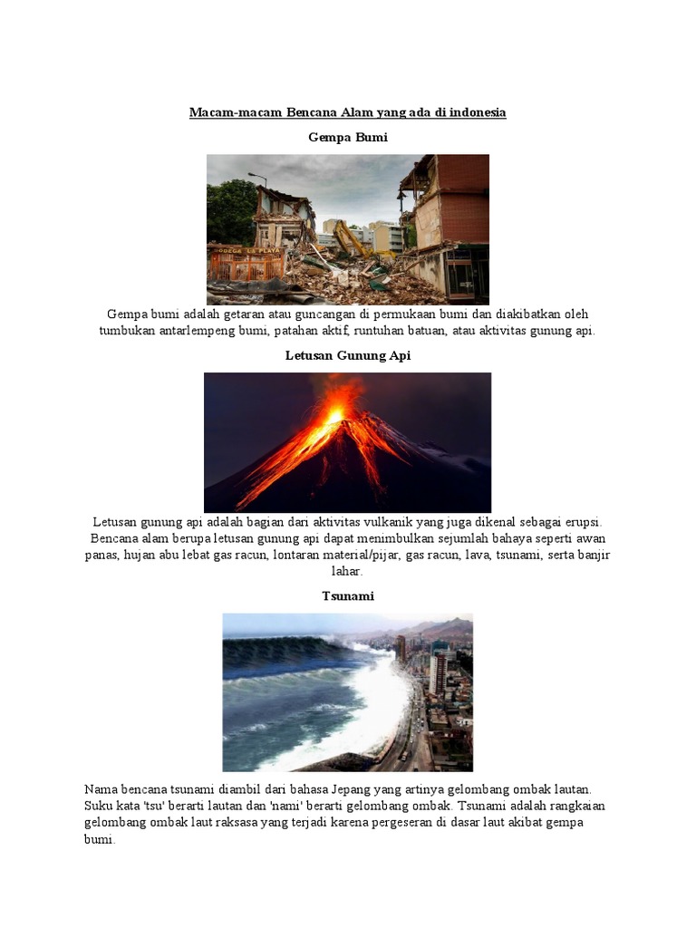 Bencana Alam | PDF