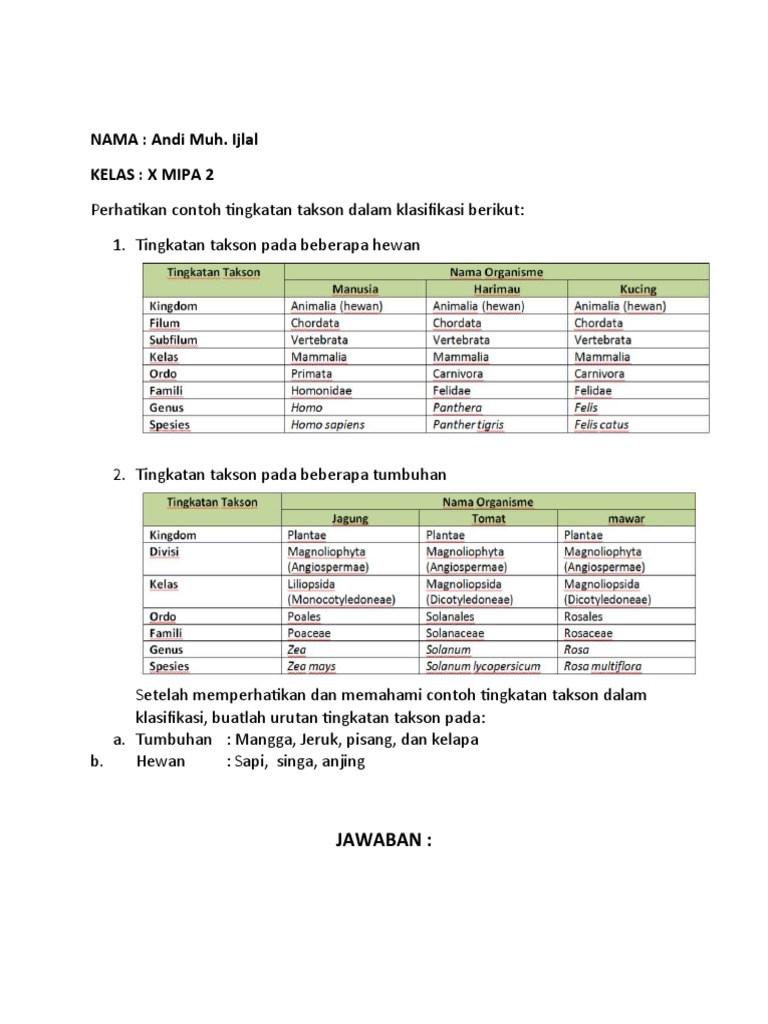 Tingkatan Takson Dalam Klasifikasi Biologi | PDF