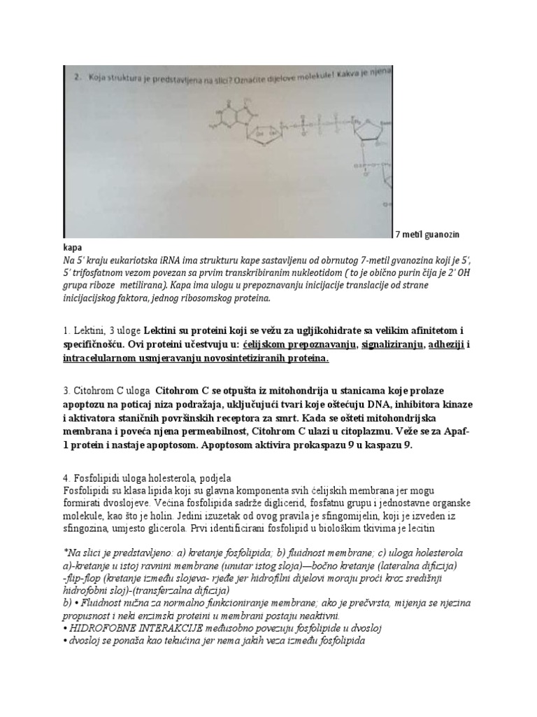 Biohemija 1 Skripta 5 | PDF