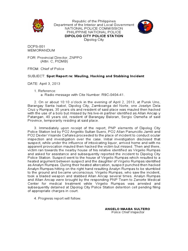 SAMPLE Spot, Progress, Final Report | PDF | Police | Detention ...